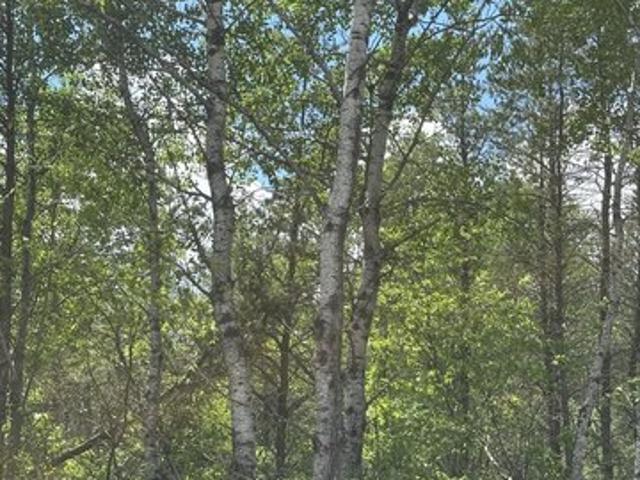 On Cth Y Jns Lot 4, Tomahawk, WI 54457
