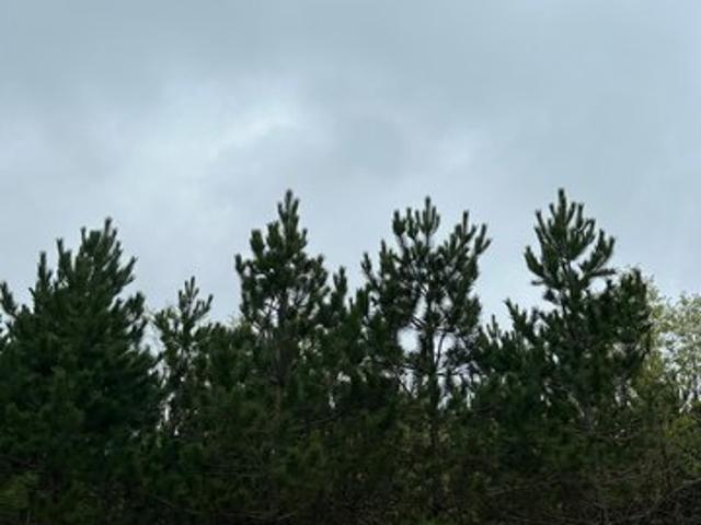 On Cth Y Lot 3, Tomahawk, WI 54487