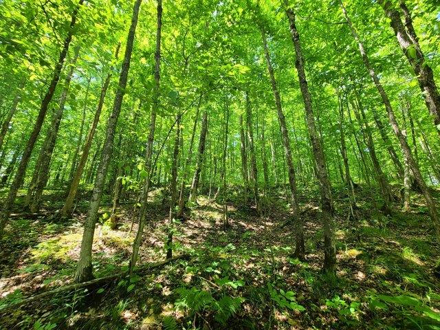 On Defer Rd N Unit 20ACRES, Hurley, WI 54534