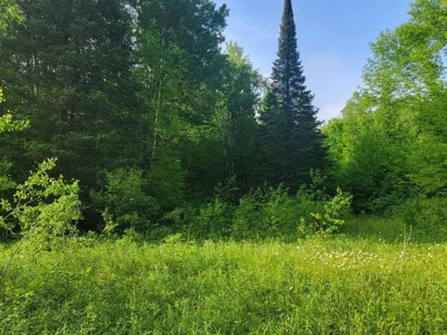 On Doland Rd Unit 40ACRES, Winter, WI 54896