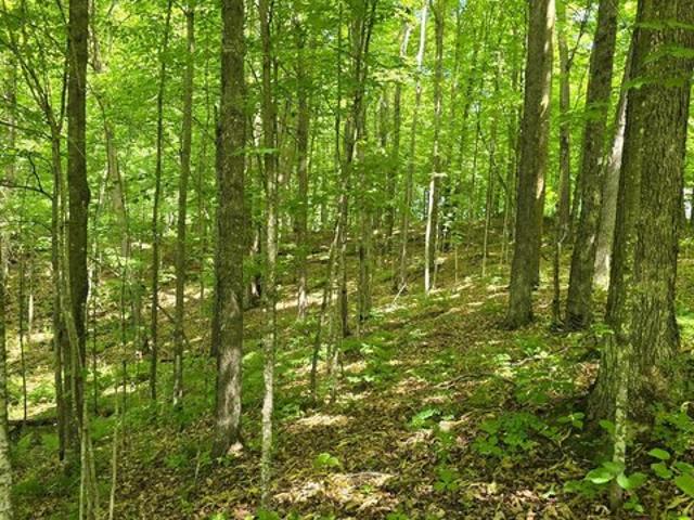On Edison Rd, Antigo, WI 54418