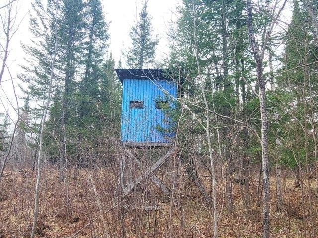 On Elderwood Rd Unit 80ACRES, Phillips, WI 54555