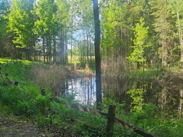 On Figi Rd, Park Falls, WI 54552