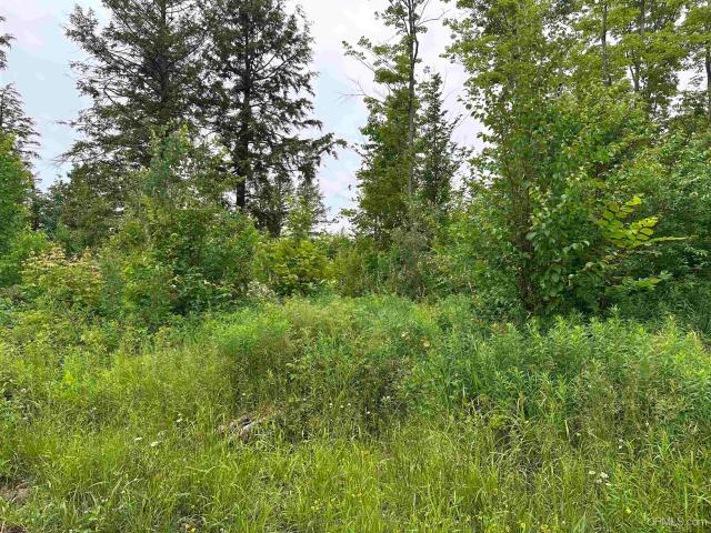 On FR 484 aka Camp 3 Rd Road
