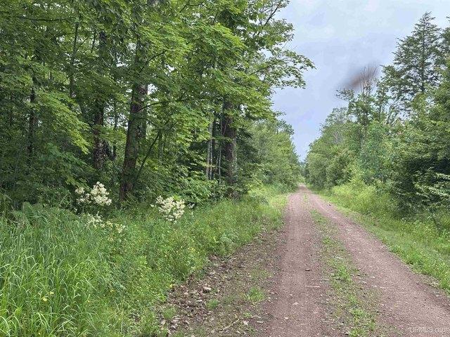 On Fr # 484, Wakefield, MI 49968