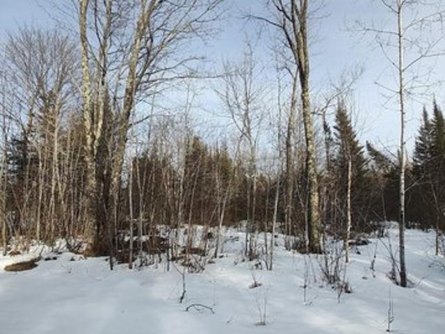 ON Highway 8, Monico, WI 54501