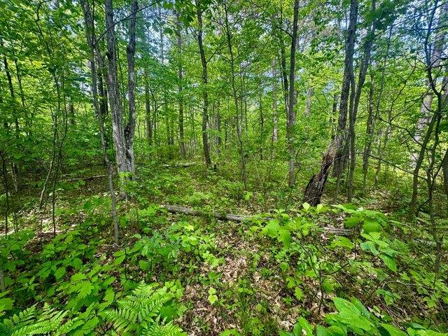 On Hl and Dale Dr, Minocqua, WI 54548