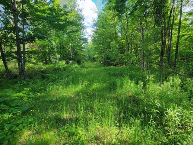 On Hunting River Rd, Elcho, WI 54428
