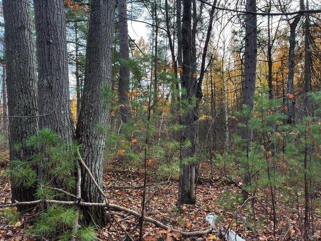 On Moss Lake Dr, Lac du Flambeau, WI 54538