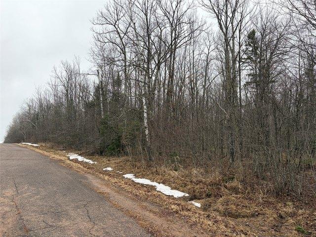 On N Hofer Rd, Couderay, WI 54828