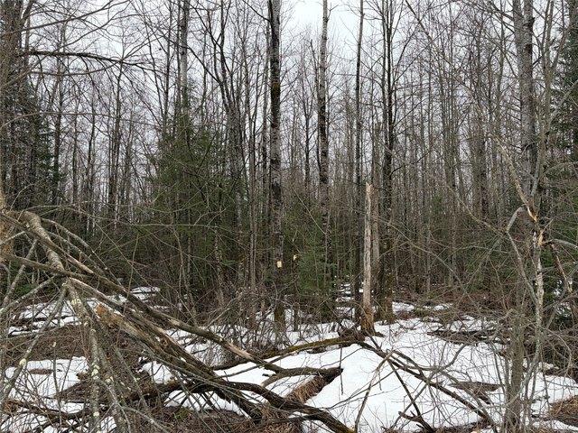 On N Hofer Rd, Couderay, WI 54828