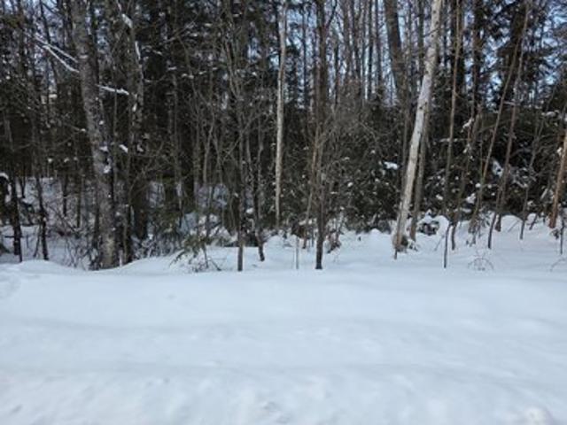 On Northwoods Ln Lot 1, Elcho, WI 54428