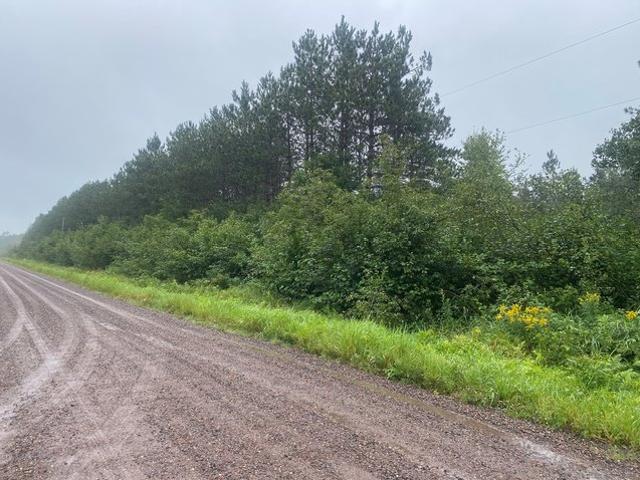 On Old 14 Rd, Bruce, WI 54819