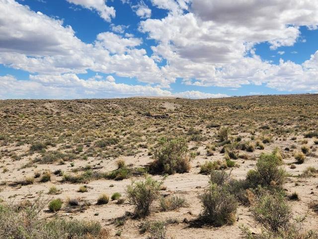 On Pajarito DFW Road SW