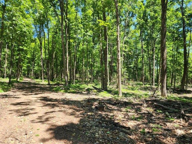 On Rocky Siding 93 Acres Ln Unit 4, Crandon, WI 54520
