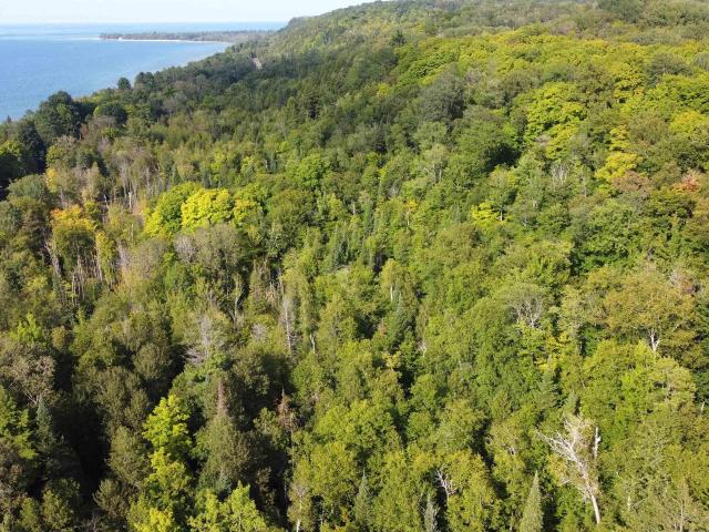 On Sand Point Road