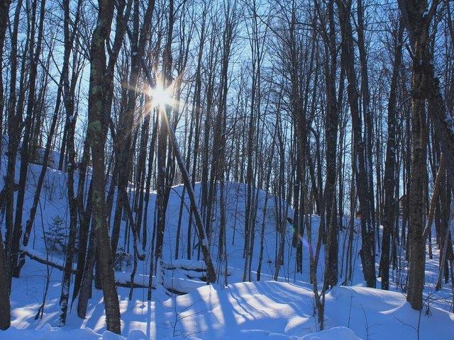 On Skye Dr Unit OUTLOT3, Upson, WI 54565
