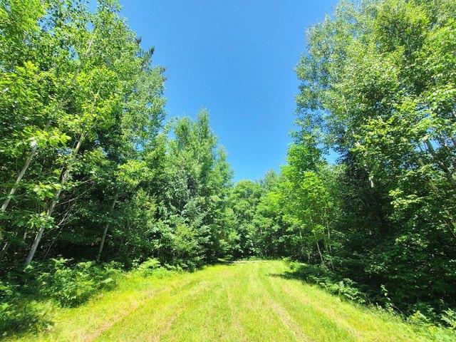 On Simon Rd Unit 78ACRES, Fifield, WI 54524