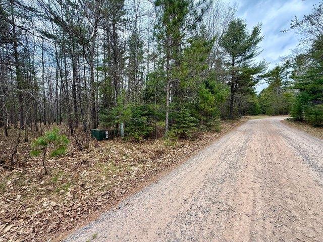 On Snowshoe Ln, Land O Lakes, WI 54540