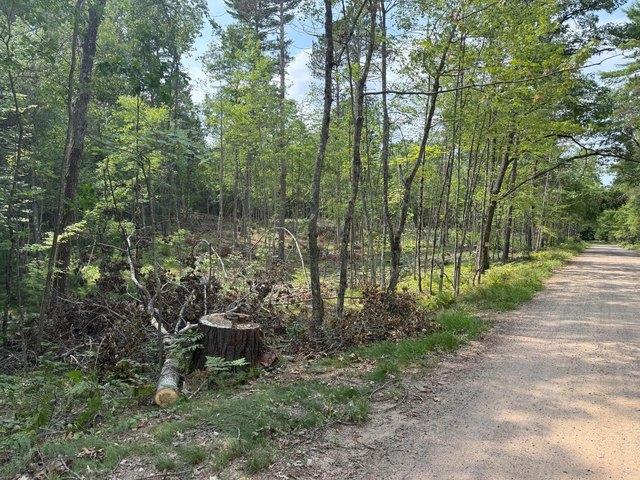 On Star Lake Rd, Plum Lake, WI 54561