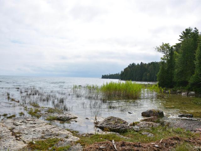 On Summer Island