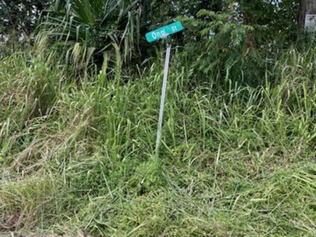 Ono St, Pahoa, HI 96778