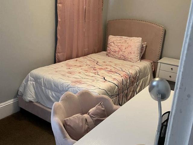 One clean furnished bedroom