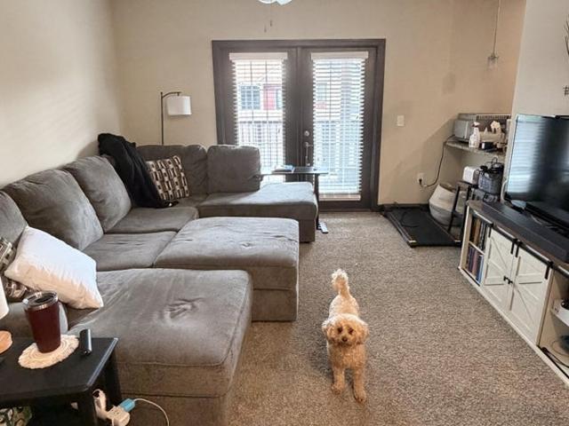 One Bed One Bath for you!
