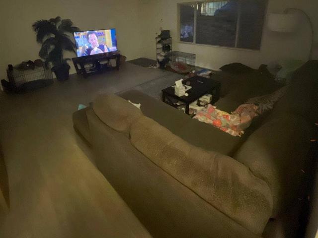 One bed room open