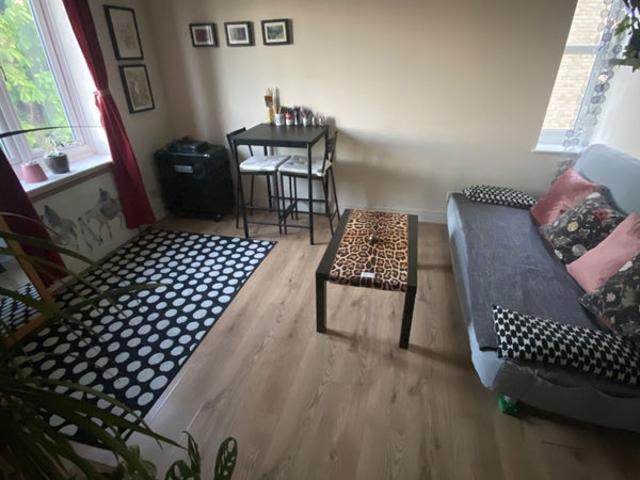 One bedrooom flat sublet/short stay 3 weeks