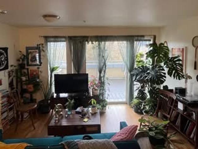 One bedroom available in a cozy apartment in SLU