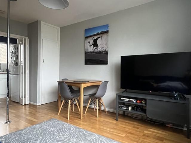 One Bedroom Flat Central London