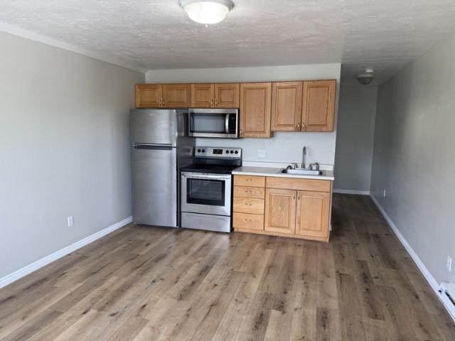 One BR Lehi apartment