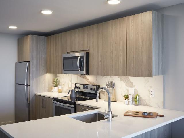 One Hundred Above the Park 1 Bedroom Apartment for Rent at 100 N Kingshighway Blvd, St. Louis, MO 63108 Central West End