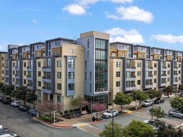 One Hundred Grand 1 Bedroom Apartment for Rent at 100 Grand Ln, Foster City, CA 94404 Pilgrim Triton