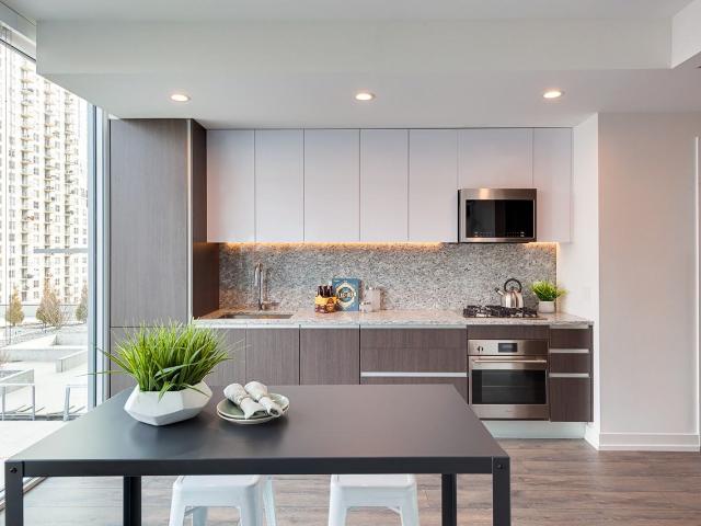 ONE Old Town Park 1 Bedroom Apartment for Rent at 1140 N Wells St, Chicago, IL 60610 Near North Side