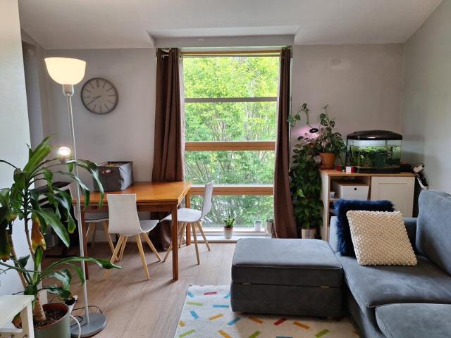 One Month Only Small flat in Chertsey