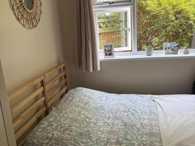 One month rent in Worthing with cute cat