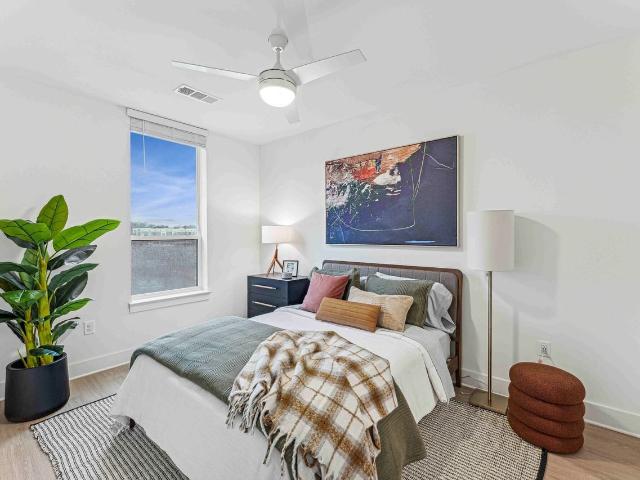 One Noda Park Studio Apartment for Rent at 110 E 36th St, Charlotte, NC 28206 Sugaw Creek