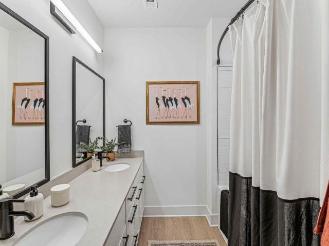 One Noda Park 1 Bedroom Apartment for Rent at 110 E 36th St, Charlotte, NC 28206 Sugaw Creek