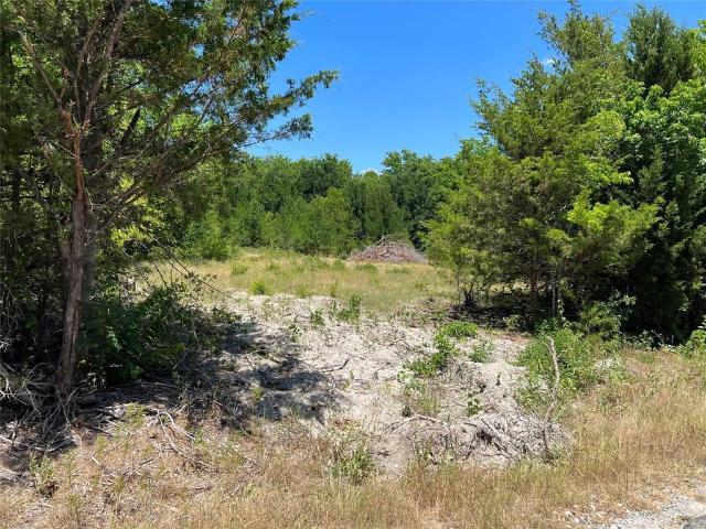 One Pilot Grove Rd, Whitewright, TX 75491 | MLS #21205 | Compass