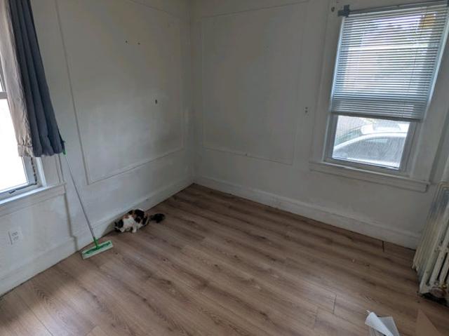 One room to fill in a 3 bedroom apartment!