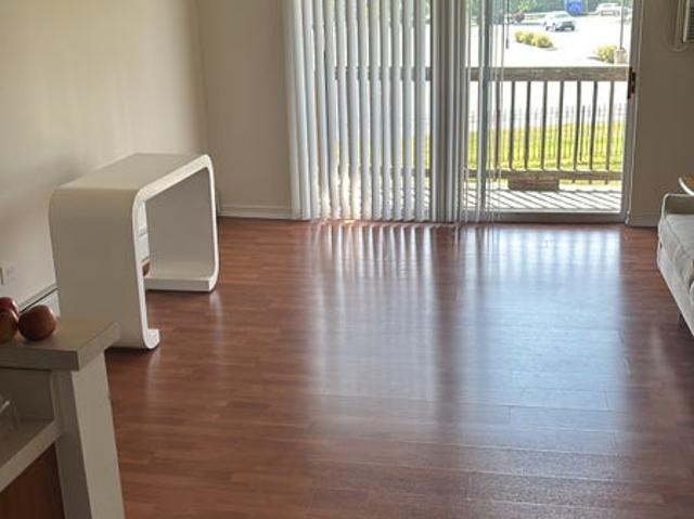 One room for rent in 2 bedroom apartmen Darien,IL