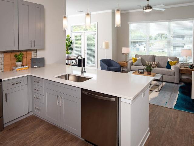 One Riverside Apartments 1 Bedroom Apartment for Rent at 950 Riverside Dr, Chattanooga, TN 37403 37403
