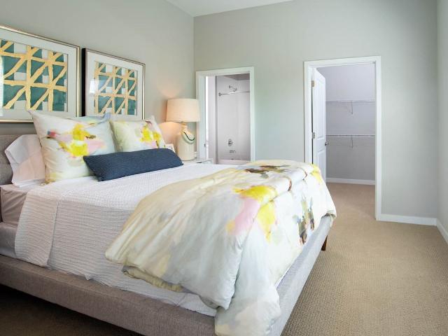 One Riverside Apartments 1 Bedroom Apartment for Rent at 950 Riverside Dr, Chattanooga, TN 37403 37403
