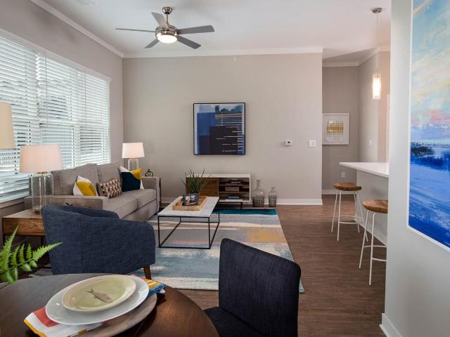 One Riverside Apartments 1 Bedroom Apartment for Rent at 950 Riverside Dr, Chattanooga, TN 37403 37403