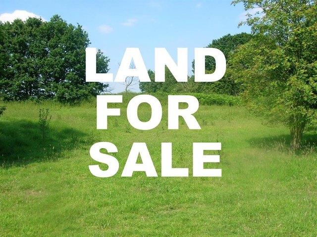 Oneda Rd, Tecumseh, OK 74873