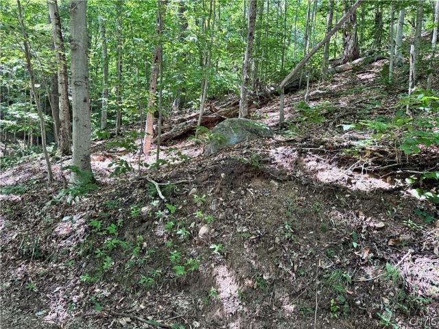Oneida Road