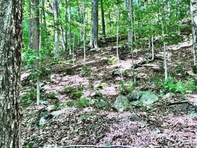 Oneida Rd, Old Forge, NY 13420