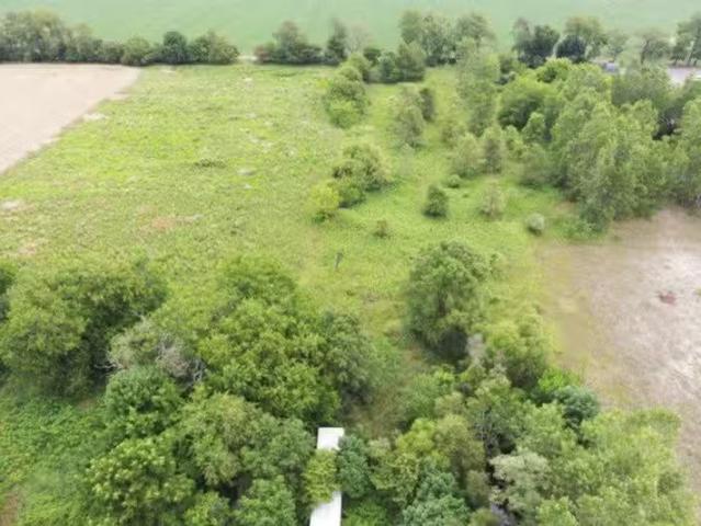 Online Auction 4.46 Vacant Commercial Acres on M 66 in Ionia.